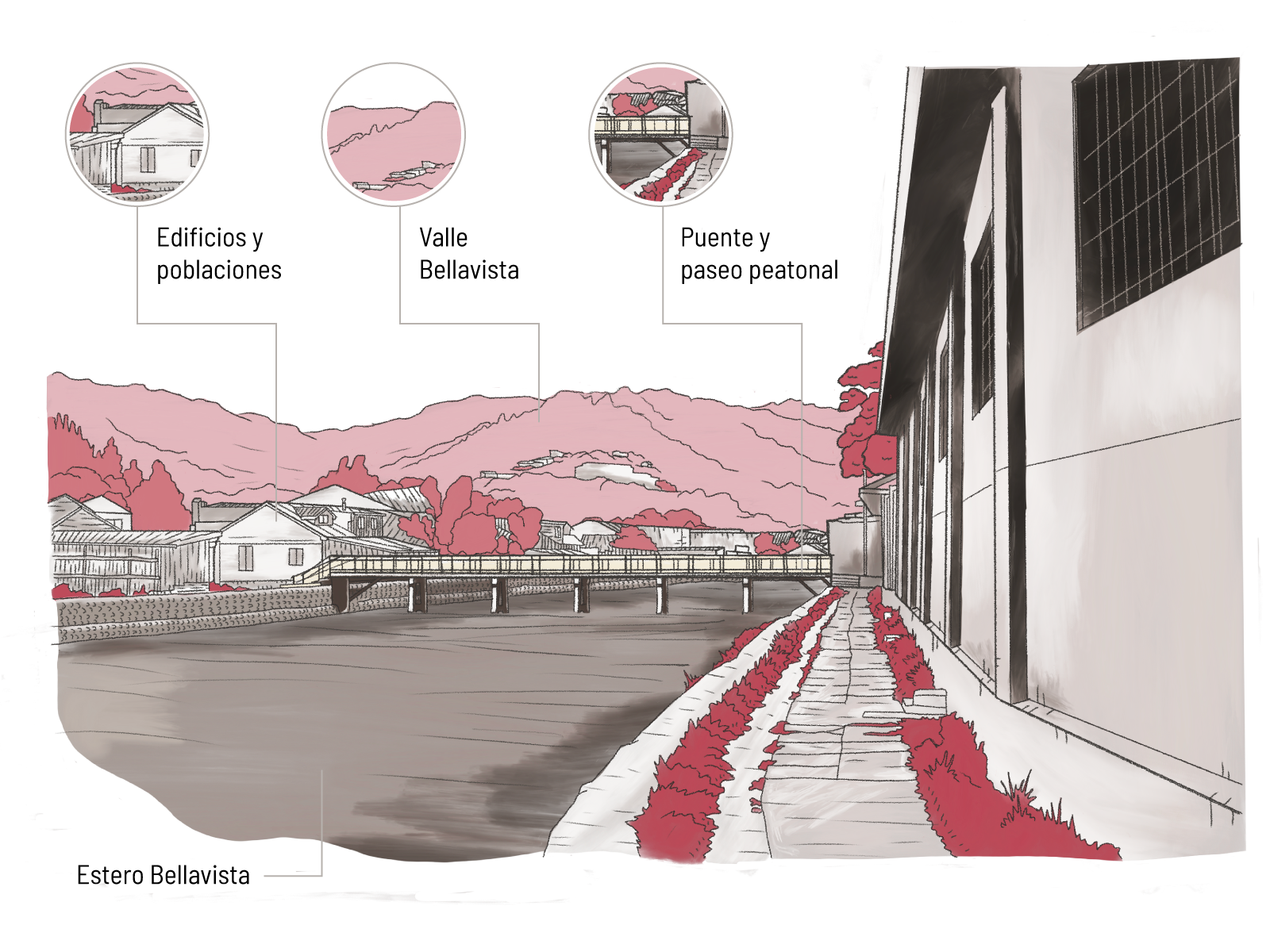 Bellavista Oveja Tomé